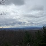 Norvin Green State Forest Loop, New Jersey - 158 Reviews, Map | AllTrails