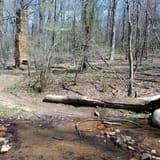 Black Ridge Trail, Virginia - 655 Reviews, Map | AllTrails
