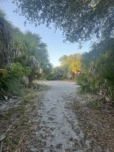 Best Hikes and Trails in Lemon Bay Preserve | AllTrails