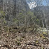 Rimrock Overlook Trail, Pennsylvania - 536 Reviews, Map | AllTrails