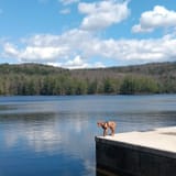 Goose Pond Loop, New Hampshire - 720 Reviews, Map | AllTrails