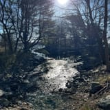 Little Harbor Loop Trail, New Hampshire - 461 Reviews, Map | AllTrails