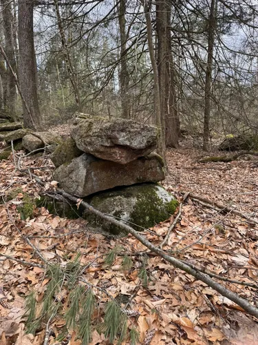 Best Hikes and Trails in Harvard Forest | AllTrails