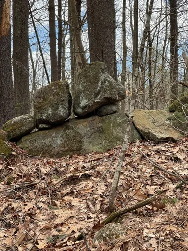 Best Hikes and Trails in Harvard Forest | AllTrails