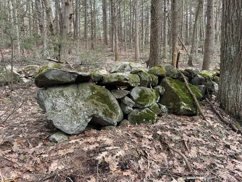 Best Hikes and Trails in Harvard Forest | AllTrails