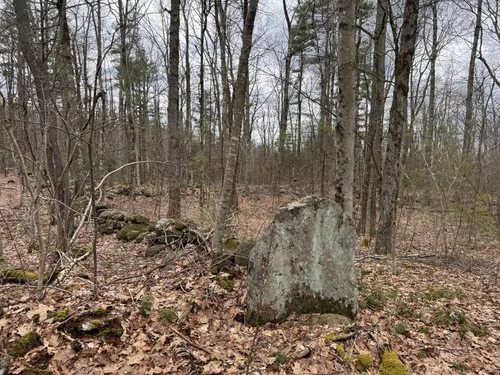 Best Hikes and Trails in Harvard Forest | AllTrails