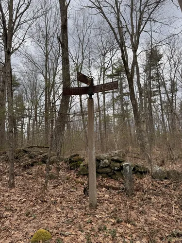 Best Hikes and Trails in Harvard Forest | AllTrails