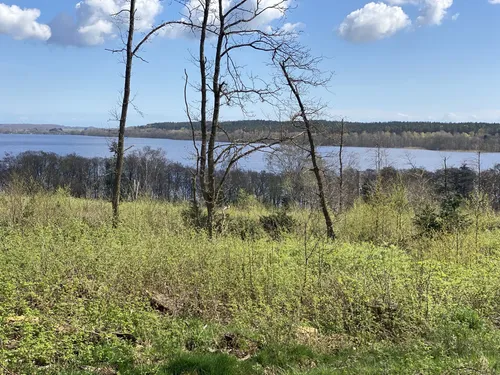 Best Camping Trails in Grenaa | AllTrails