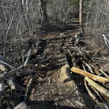 Little Harbor Loop Trail, New Hampshire - 461 Reviews, Map | AllTrails