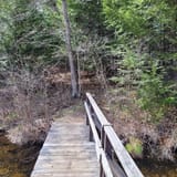 Beaver Brook Trail, Eastman Meadow Trail, and Maple Hill Ridge Loop ...