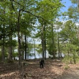 Little Gap Trail, South Carolina - 686 Reviews, Map | AllTrails