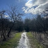 Heber Down Conservation Area Trail, Ontario, Canada - 633 Reviews, Map ...
