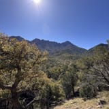 Madera Canyon Nature Trail, Arizona - 1,190 Reviews, Map | AllTrails