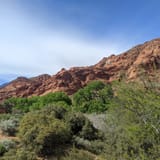 Red Reef Trail, Utah - 2,281 Reviews, Map | AllTrails