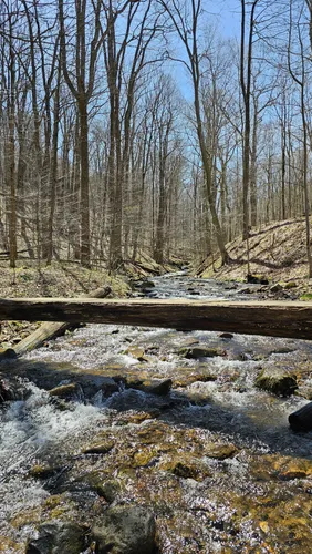 Best Hikes and Trails in Linn Run State Park | AllTrails