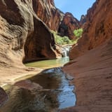 Red Reef Trail, Utah - 2,281 Reviews, Map | AllTrails