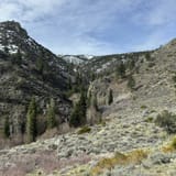 Hunter Creek Trail, Nevada - 4,422 Reviews, Map | AllTrails