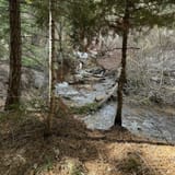 Hunter Creek Trail, Nevada - 4,422 Reviews, Map | AllTrails