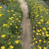 Balboa Park Loop, California - 979 Reviews, Map | AllTrails