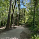Three Rivers Greenway Trail, South Carolina - 596 Reviews, Map | AllTrails