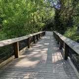 Three Rivers Greenway Trail, South Carolina - 596 Reviews, Map | AllTrails