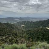 Beaudry Loop, California - 5,036 Reviews, Map | AllTrails