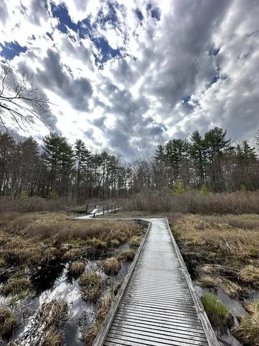 Best Hikes and Trails in Acton Arboretum | AllTrails