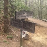 Chestnut Top Trail, Tennessee - 514 Reviews, Map | AllTrails