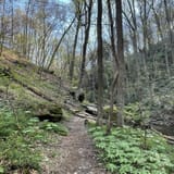 Kelly's Run Loop Trail, Pennsylvania - 3,398 Reviews, Map | AllTrails