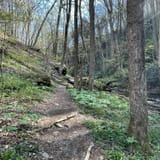 Kelly's Run Loop Trail, Pennsylvania - 3,398 Reviews, Map | AllTrails