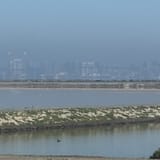 Bayshore Bikeway (Silver Strand) Trail , California - 1,185 Reviews ...