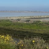 Bayshore Bikeway (Silver Strand) Trail , California - 1,185 Reviews ...
