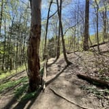 Cascade Falls Loop Trail, Maryland - 2,765 Reviews, Map | AllTrails
