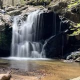 Cascade Falls Loop Trail, Maryland - 2,765 Reviews, Map | AllTrails
