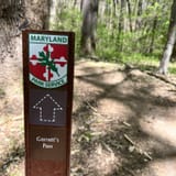 Cascade Falls Loop Trail, Maryland - 2,765 Reviews, Map | AllTrails