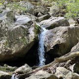Cascade Falls Loop Trail, Maryland - 2,765 Reviews, Map | AllTrails