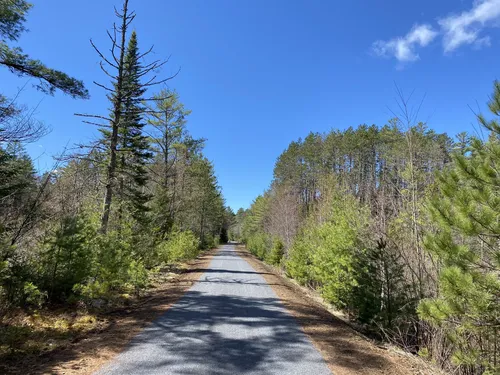 Best River Trails in Ray Brook | AllTrails