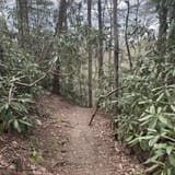 Hidden Arch Trail, Kentucky - 1,081 Reviews, Map | AllTrails