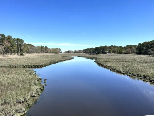 Best Hikes and Trails in Rehoboth Beach | AllTrails