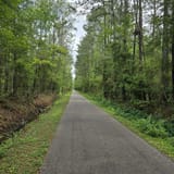 Tammany Trace Trail, Louisiana - 389 Reviews, Map | AllTrails