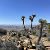 Ryan Mountain, California - 7,424 Reviews, Map | AllTrails