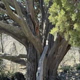 Fatmans Loop Trail, Arizona - 5,075 Reviews, Map | AllTrails