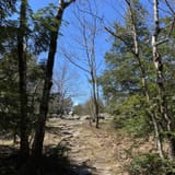 Bauneg Beg Middle Mountain Trail, Maine - 1,090 Reviews, Map | AllTrails