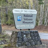 Trail of Two Forests Trail , Washington - 309 Reviews, Map | AllTrails