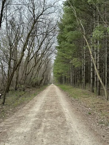 Best Kid Friendly Trails in Ripon | AllTrails