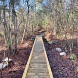 Freetown Fall River State Forest Loop, Massachusetts - 347 Reviews, Map ...