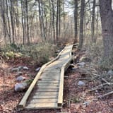 Freetown Fall River State Forest Loop, Massachusetts - 347 Reviews, Map ...