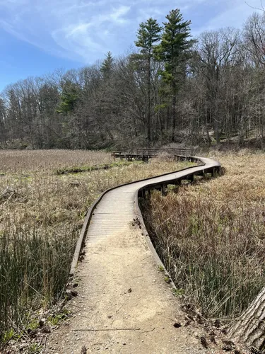 Best Wheelchair Friendly Trails in Springwater Conservation Area ...