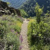 Stevens Trail, California - 4,604 Reviews, Map | AllTrails