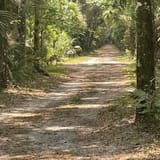 Econlockhatchee River Trail, Florida - 449 Reviews, Map | AllTrails